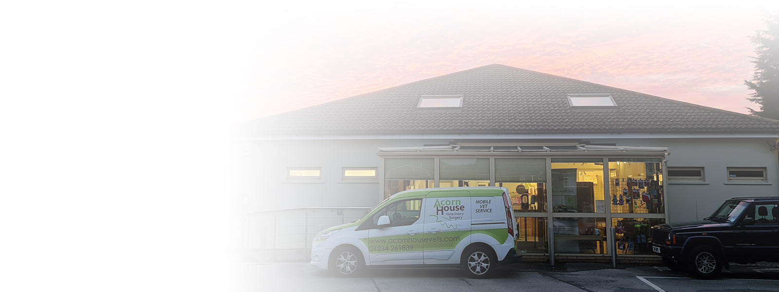 Why Choose Acorn Vets In Bedford