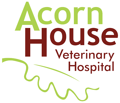 Acorn House Vets In Bedford